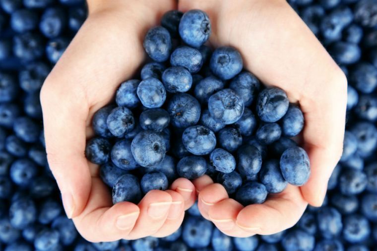 Δείτε 7 που ενισχύουν την υγεία του ηπατος - fiftififti